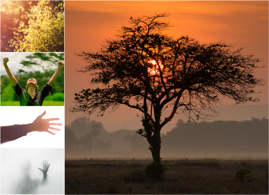 Staring Without Seeing - Life International